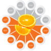 Orange Frozen Peels - Vita-Pakt Citrus Products Company Based in California