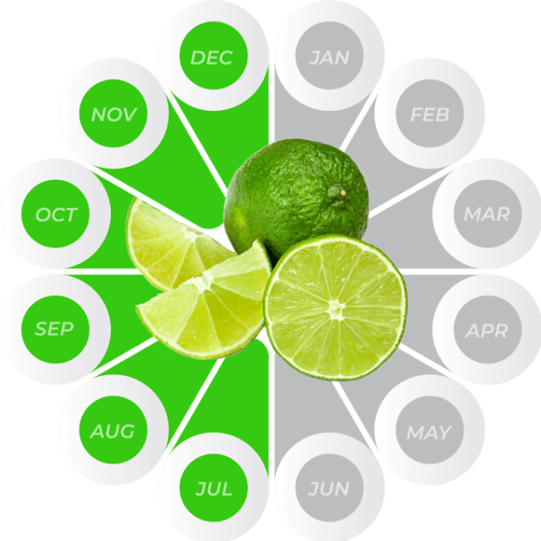 Lime Purees - Vita-Pakt Citrus Products Company Based in California